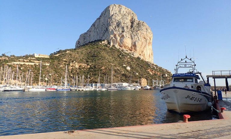 COSTA BLANCA UP - Take a guided tour and discover Calpe's fishing port