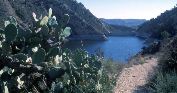 COSTA BLANCA UP - Celebrate the 425 anniversary of Tibi's reservoir